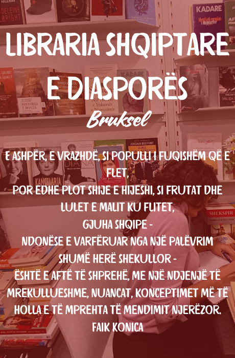 Libra shqip në diasporë – Lize's Bookstore - Libraria shqiptare në diasporë